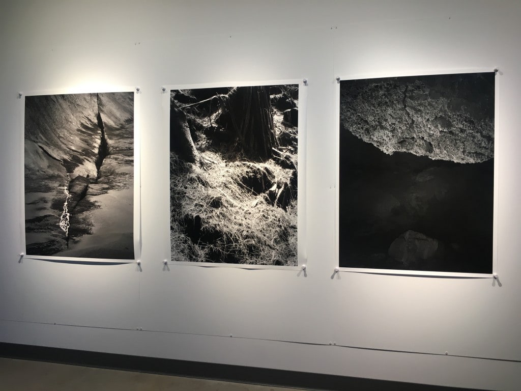 Ron Jude: 12 Hz | Gallery Luisotti