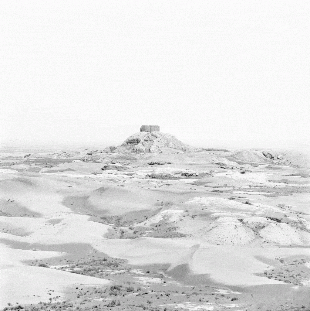 BrowserPreview_tmp | Gallery Luisotti