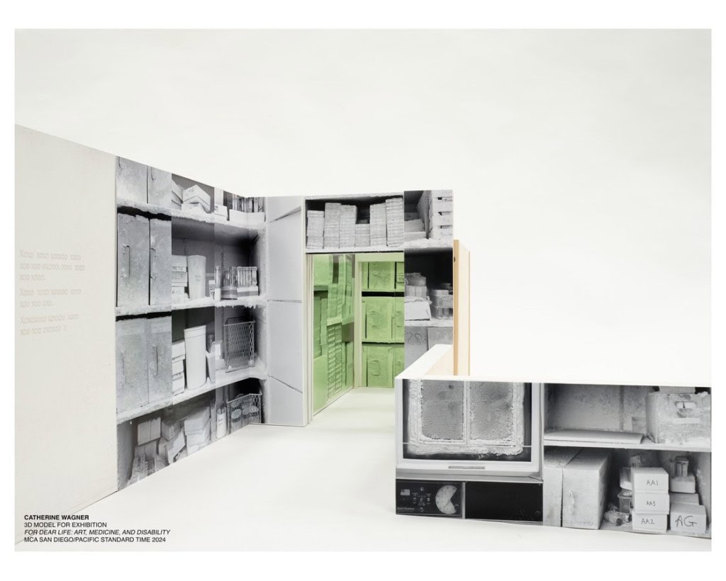 Catherine Wagner, “For Dear Life: Art, Medicine, and Disability” at The ...